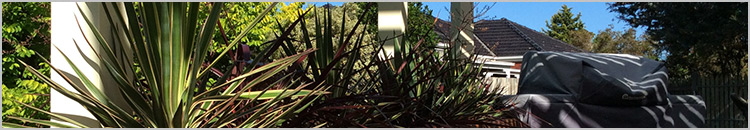 Apple iPad mini 2 Review > Software, Camera | TechSpot