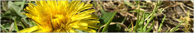 Apple iPad mini 2 Review > Software, Camera | TechSpot