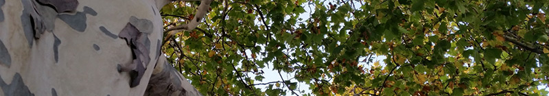 Samsung Galaxy S5: The TechSpot Review > Camera: Superb In Sunlight ...