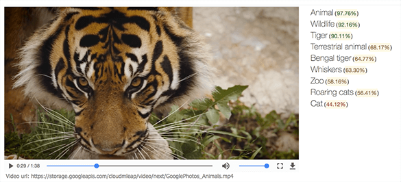 Google's AI can now recognize what's in your videos | TechSpot