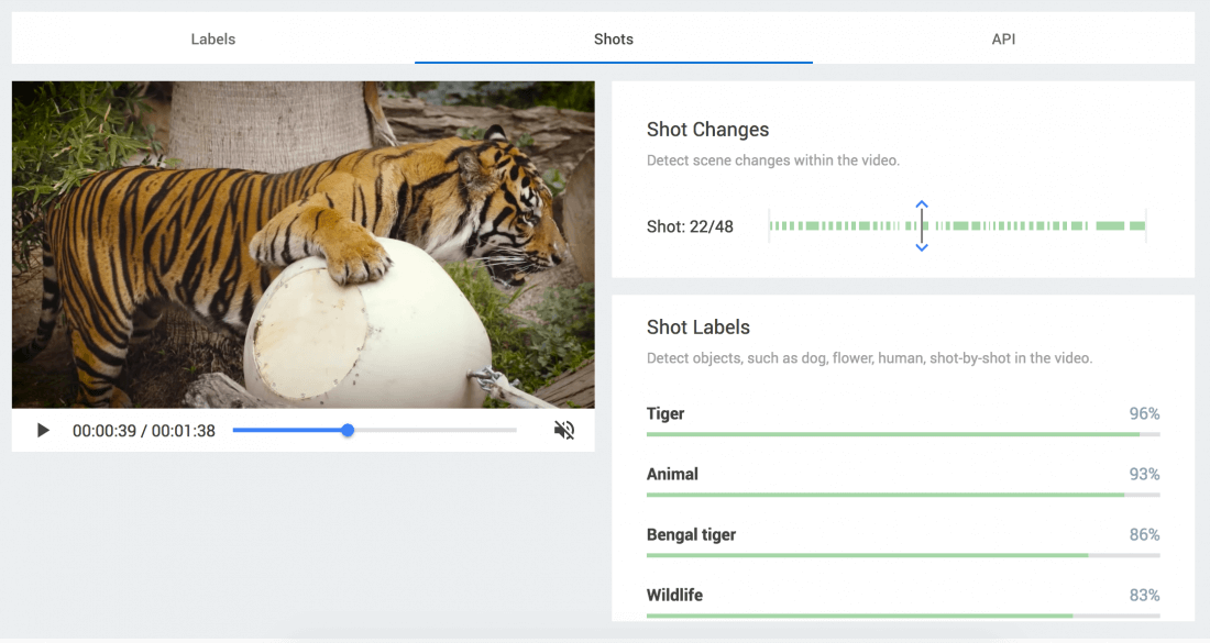 Google's AI can now recognize what's in your videos | TechSpot