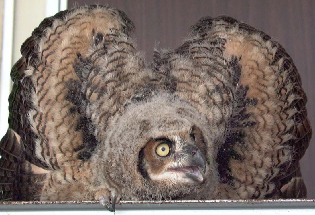 NASA launches web-based search engine for its massive catalog of photos ...