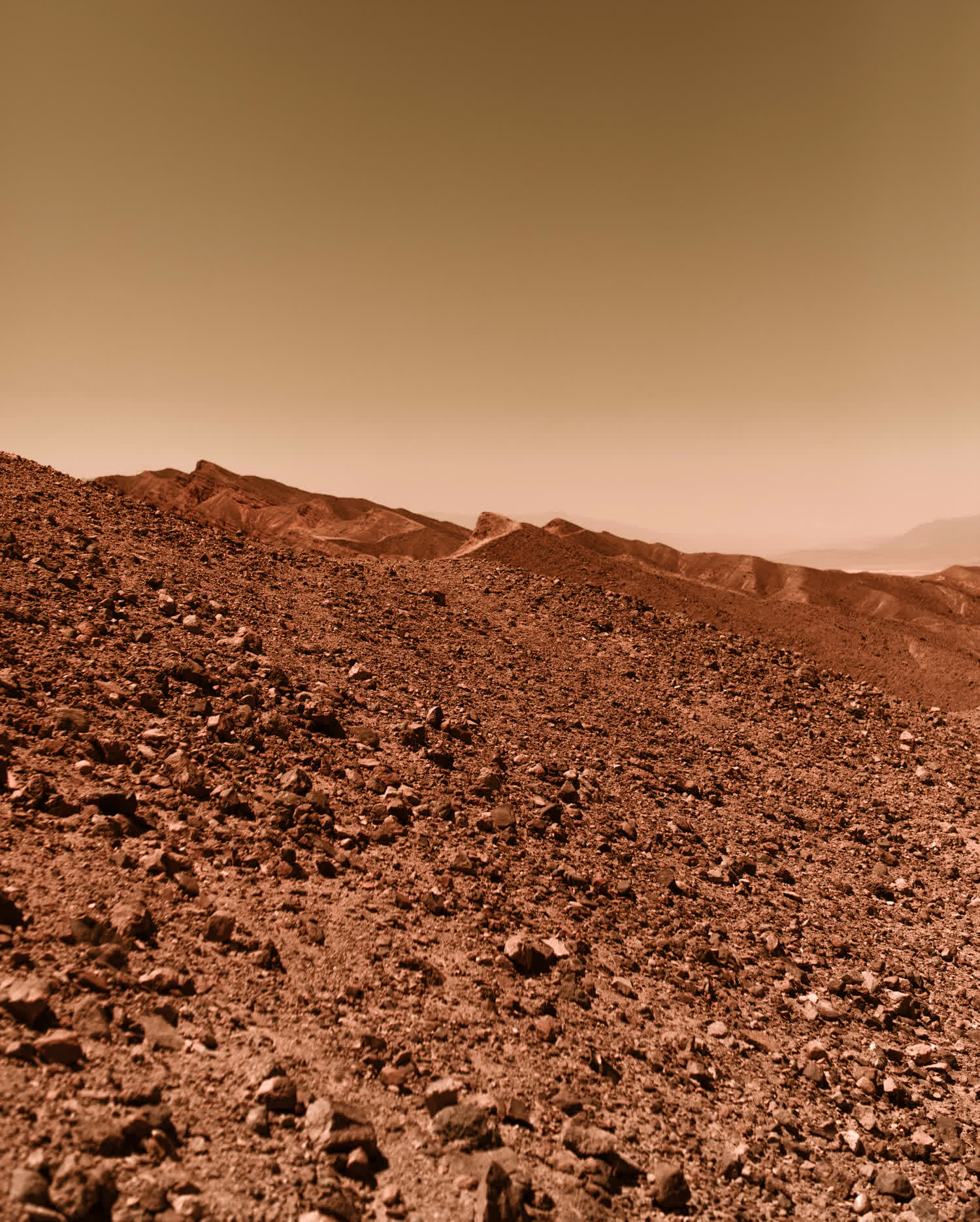 NASA's Perseverance rover finds diverse organic material in ancient ... NASA's Perseverance rover finds diverse organic material in ancient ...