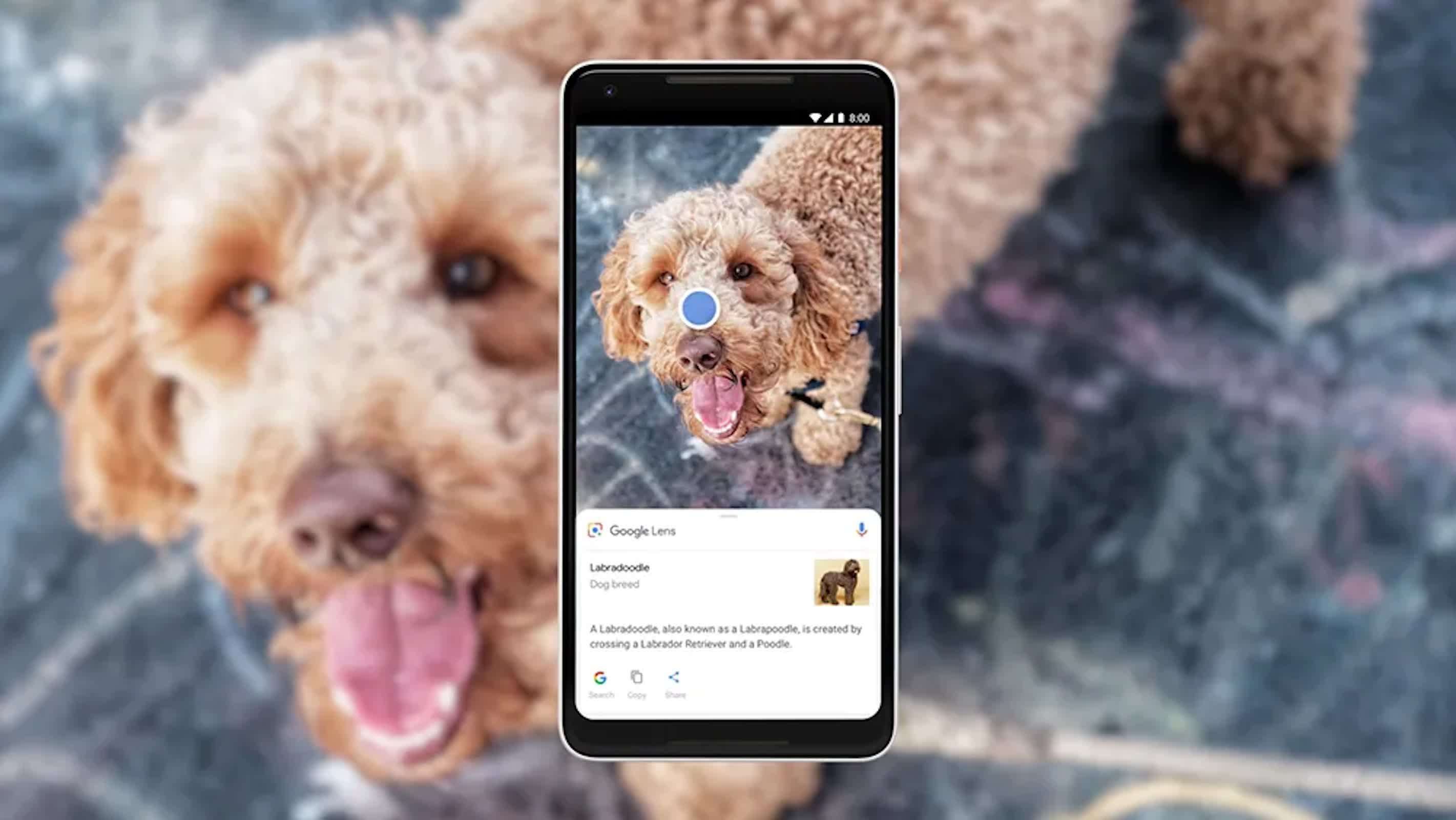 Microsoft to retire popular Lens app, fold scanning into Copilot | TechSpot