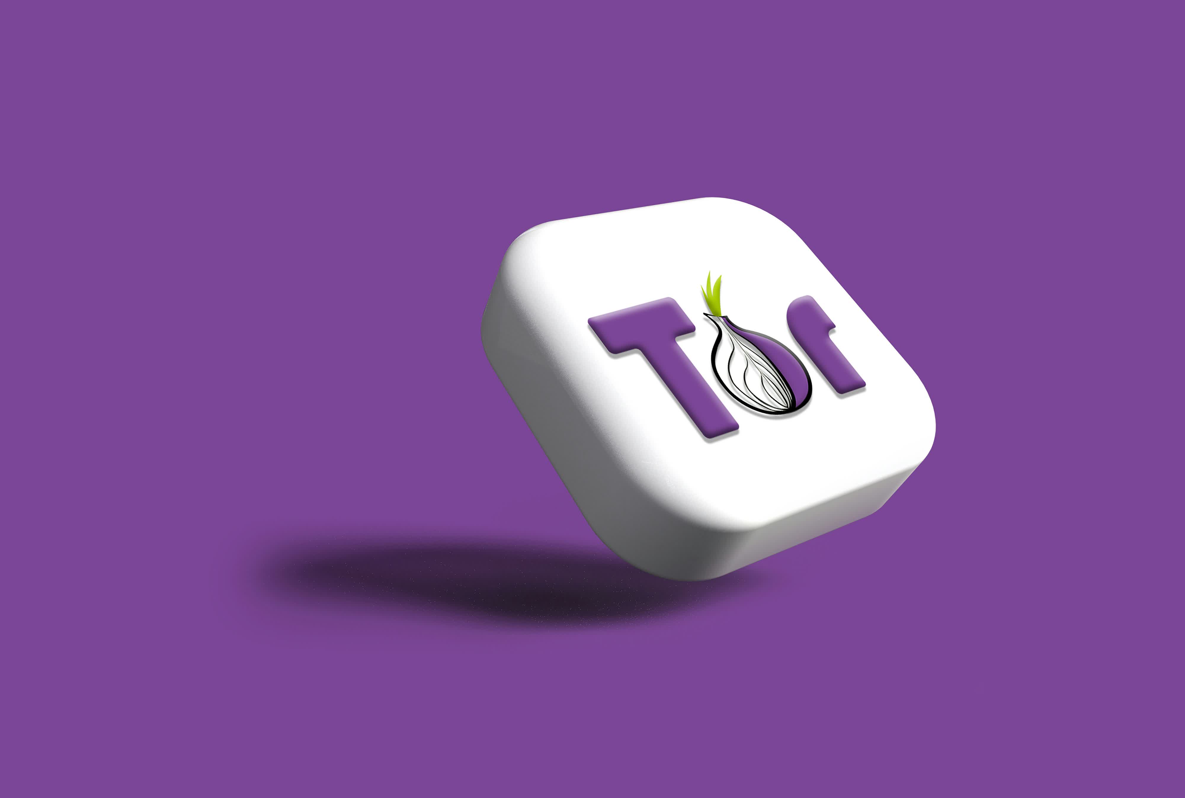 Tor browser's latest build cuts Mozilla's AI features in the name of ...