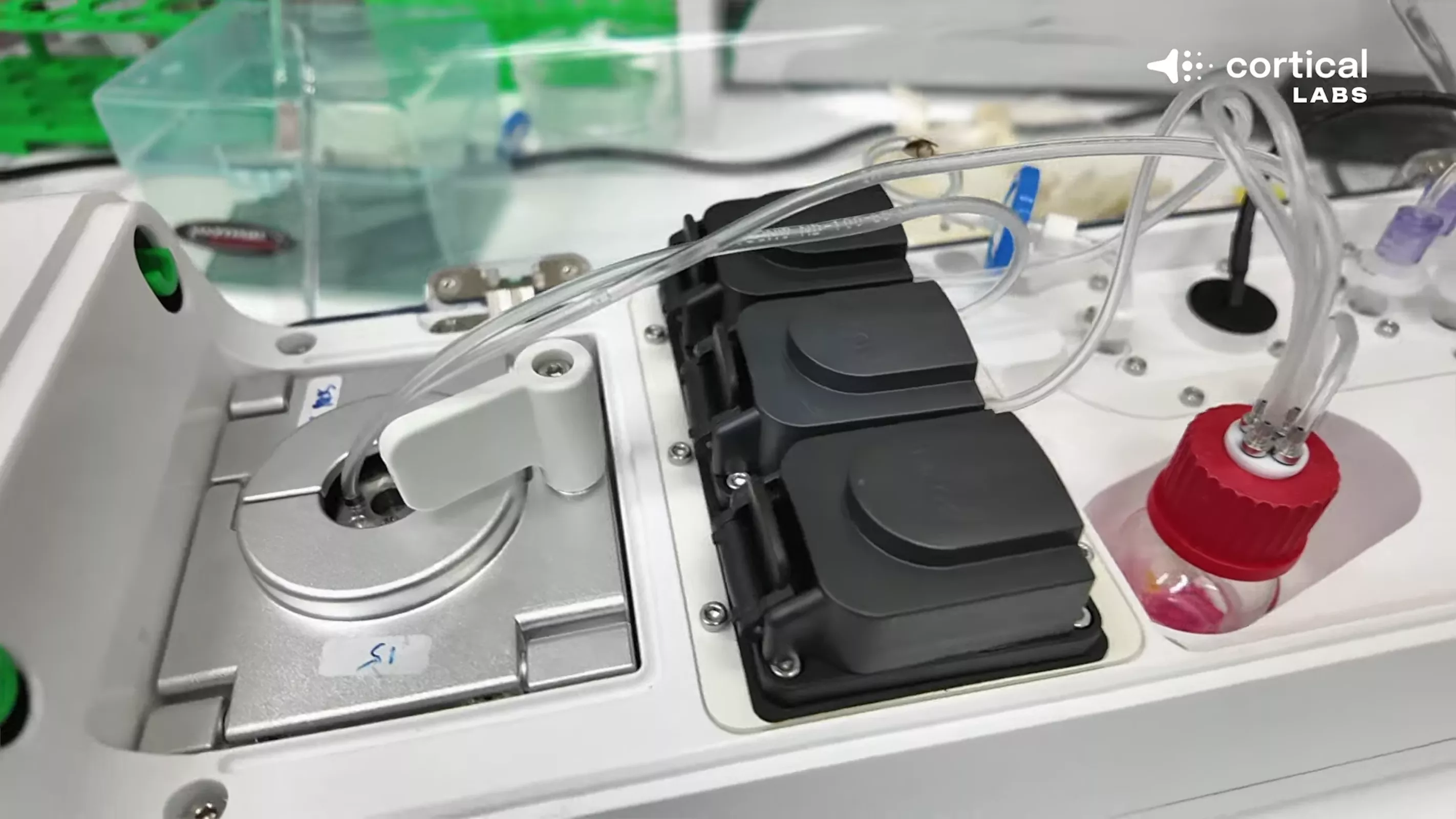 That Doom-running, human brain cell-powered computer is headed for data ...