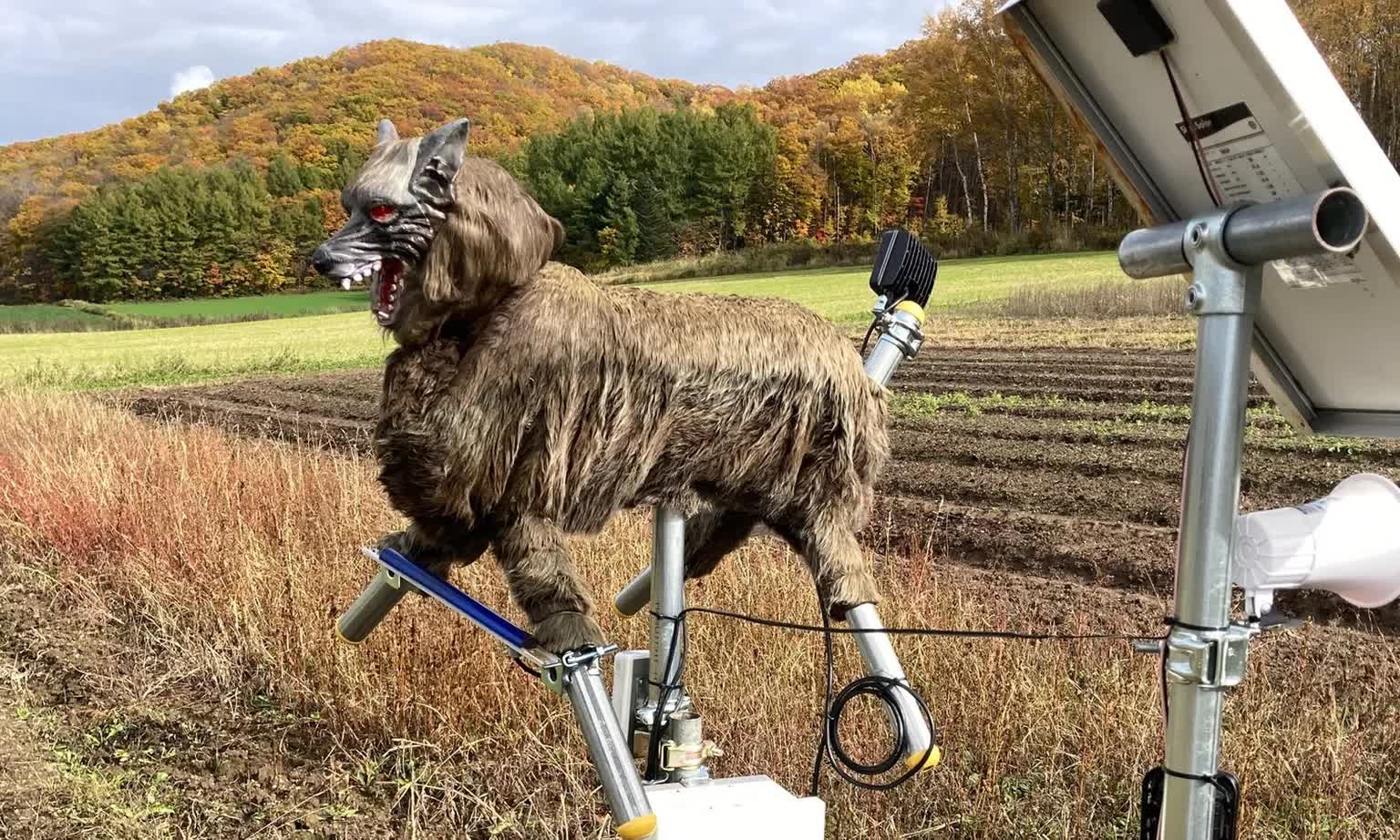 Demand for Japan's robotic Monster Wolves explodes amid record bear ...
