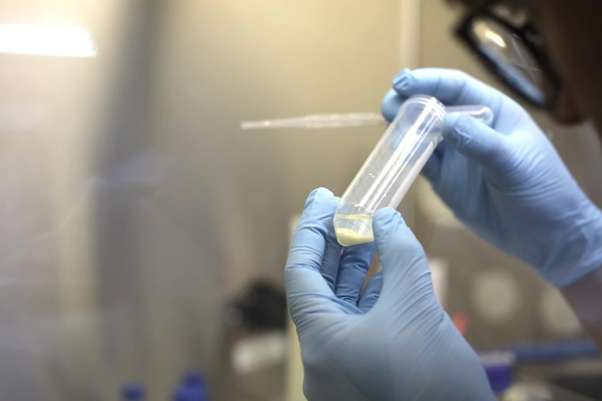 The FDA just cleared a maggot-based wound treatment from a Singapore ...