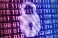 IEEE accidentally exposed 100,000 unencrypted user credentials | TechSpot