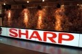 Sharp develops world's most efficient solar panel | TechSpot