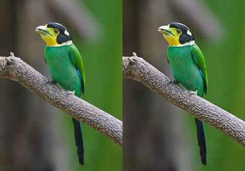 Mozilla's new Mozjpeg 2.0 image encoder improves JPEG compression | TechSpot