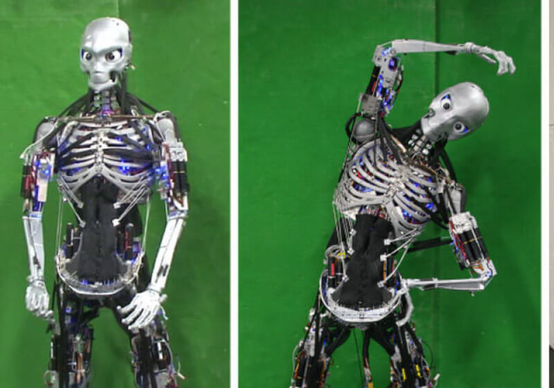 This robot has a musculoskeletal structure that mimics a human's | TechSpot