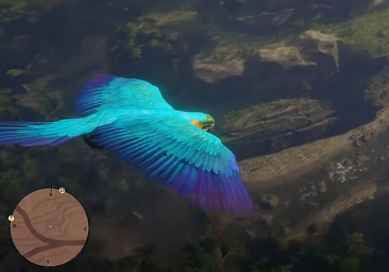 Mod turns Red Dead Redemption 2 into a peaceful bird simulator | TechSpot