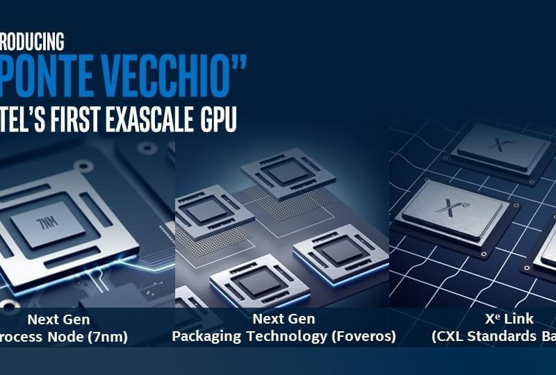 Intel reveals Ponte Vecchio, its Xe HPC GPU | TechSpot