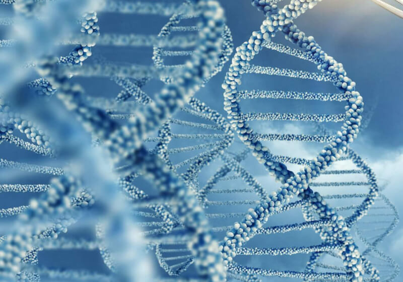 China hands down prison terms to scientists who genetically altered ...