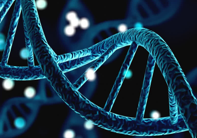 Scientists show for the first time that it's possible to collect DNA ...