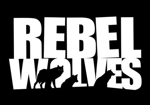 CD Projekt Red veterans head up new independent game studio Rebel ...