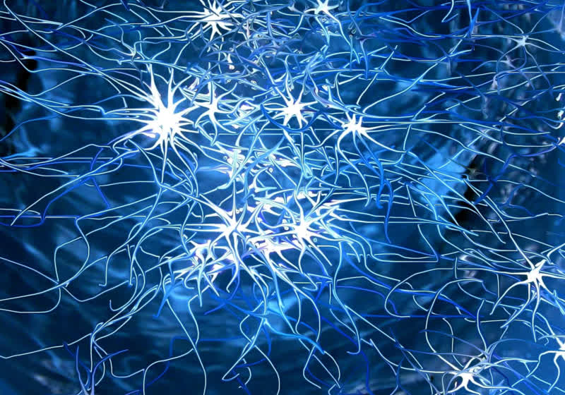 Calligrapher.ai is using AI for handwriting generation | TechSpot