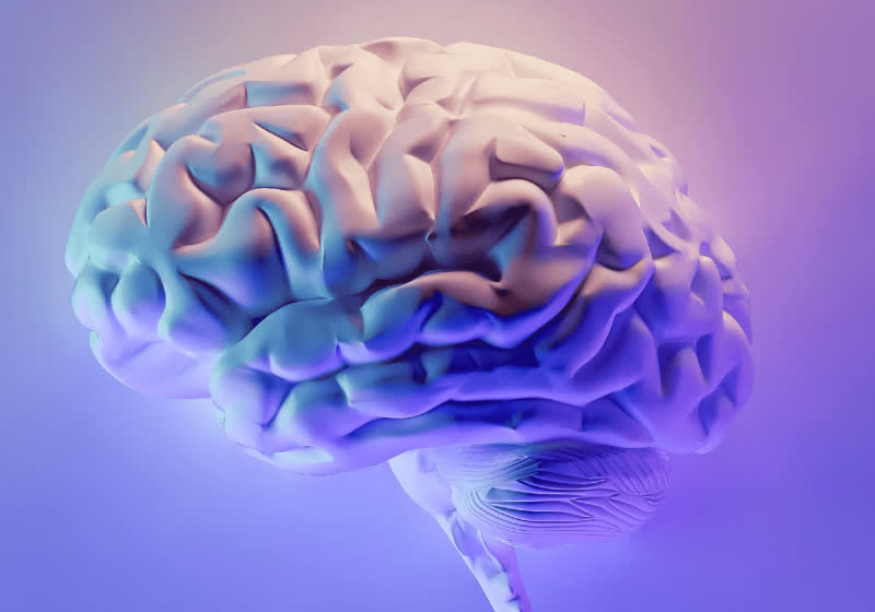 Scientists develop novel brain-computer interface that plugs into your ...