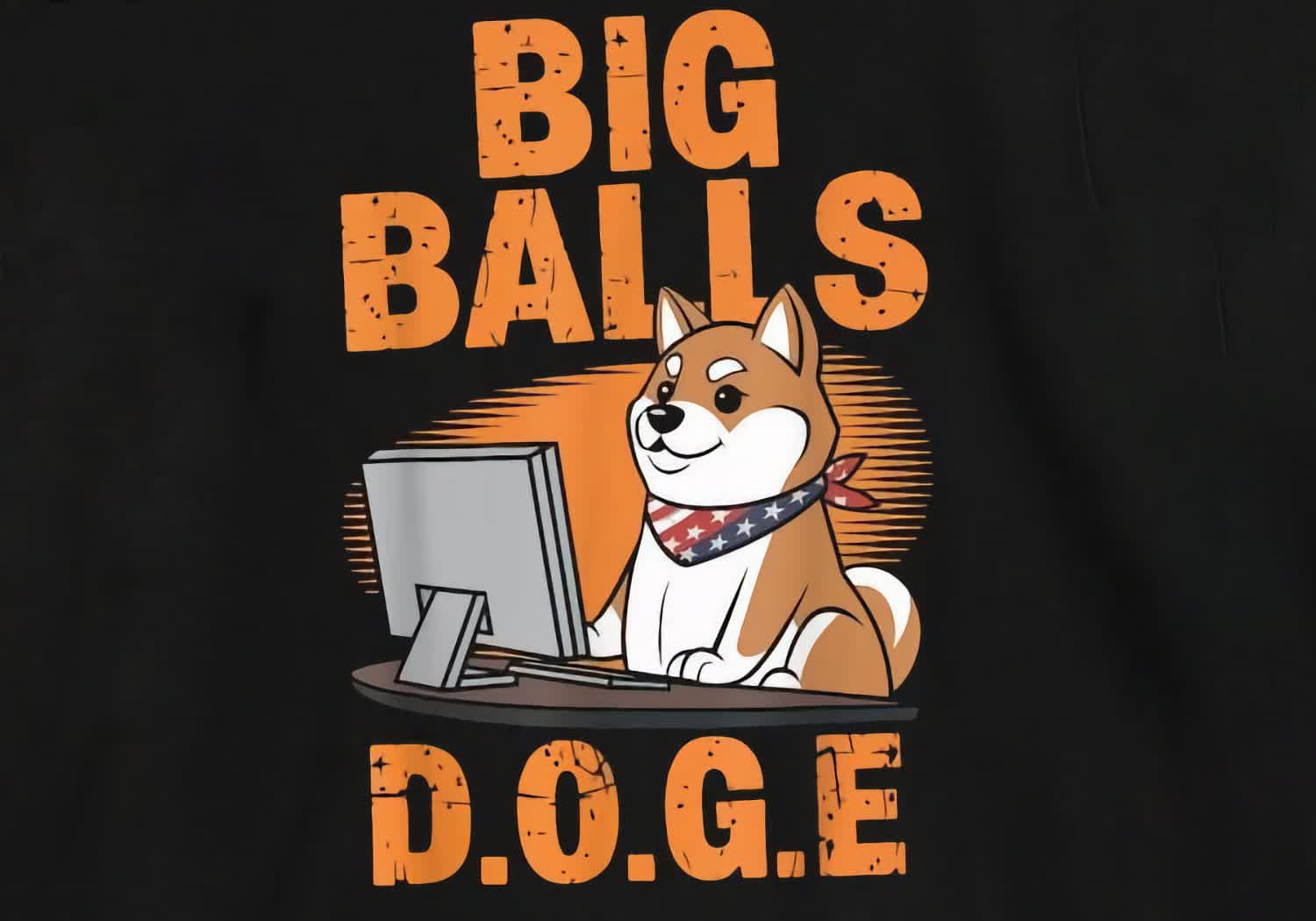 Report: 19-year-old DOGE team member "Big Balls" provided network ...